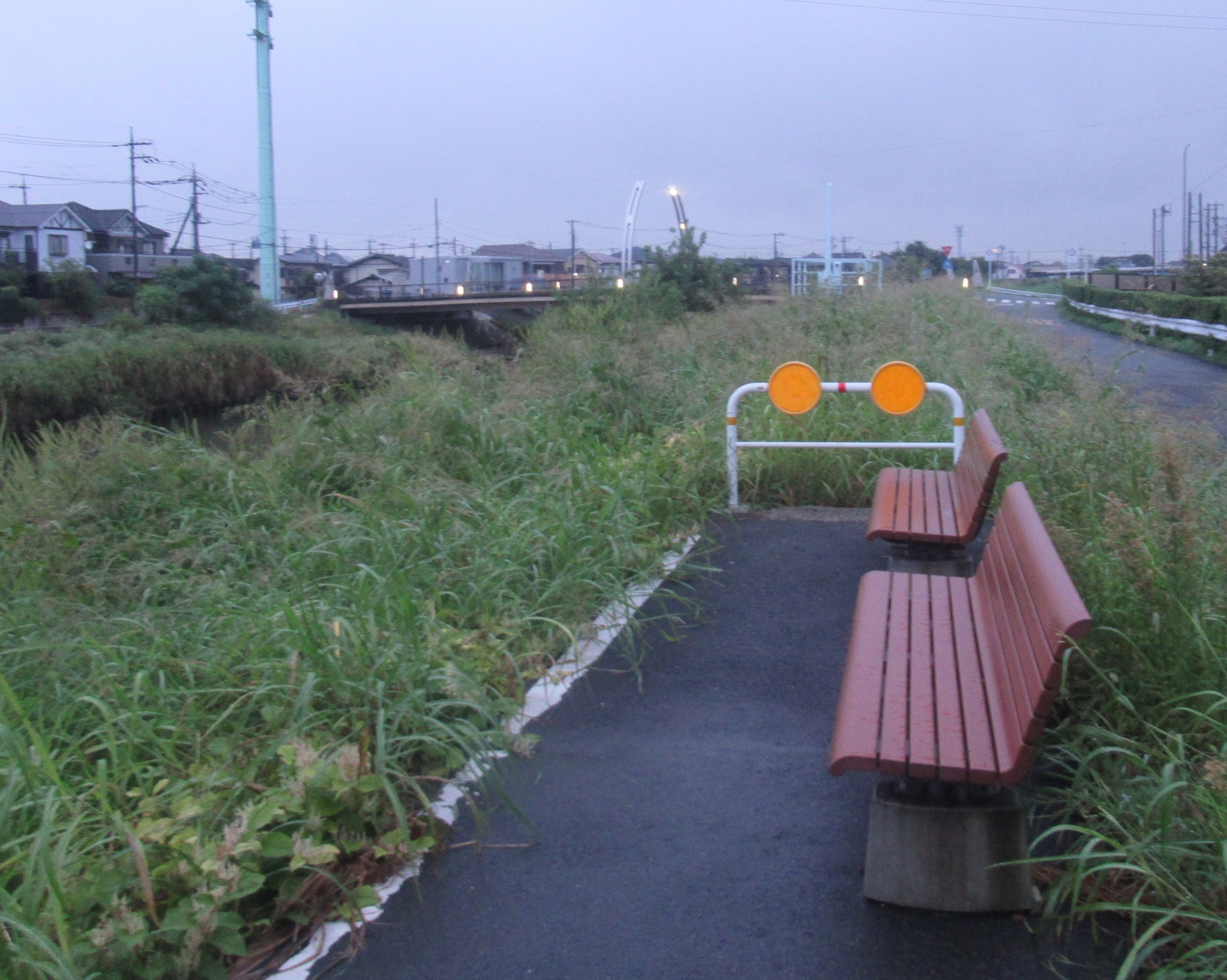 今朝の写真: ギターの友