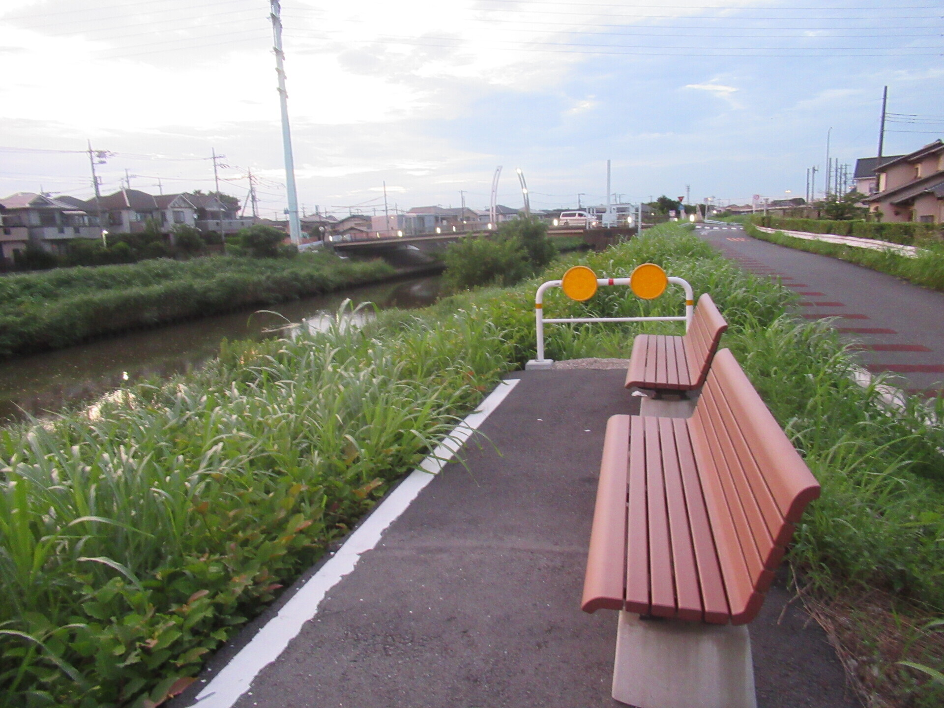 今朝の写真、: ギターの友